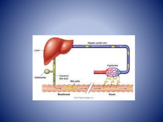 Enterohepatic circulation and Hepatic Portal circulation | PPTX