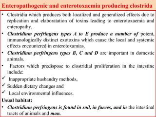Enteropathogenic_clostridia (1).pp tx clostrdium | PPTX