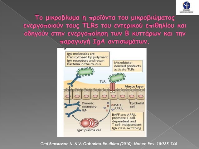 Εντερική χλωρίδα η μικροβιωμα, Ανοσοποιητικό σύστημα-Αυτοάνοσα νοσήματα ...