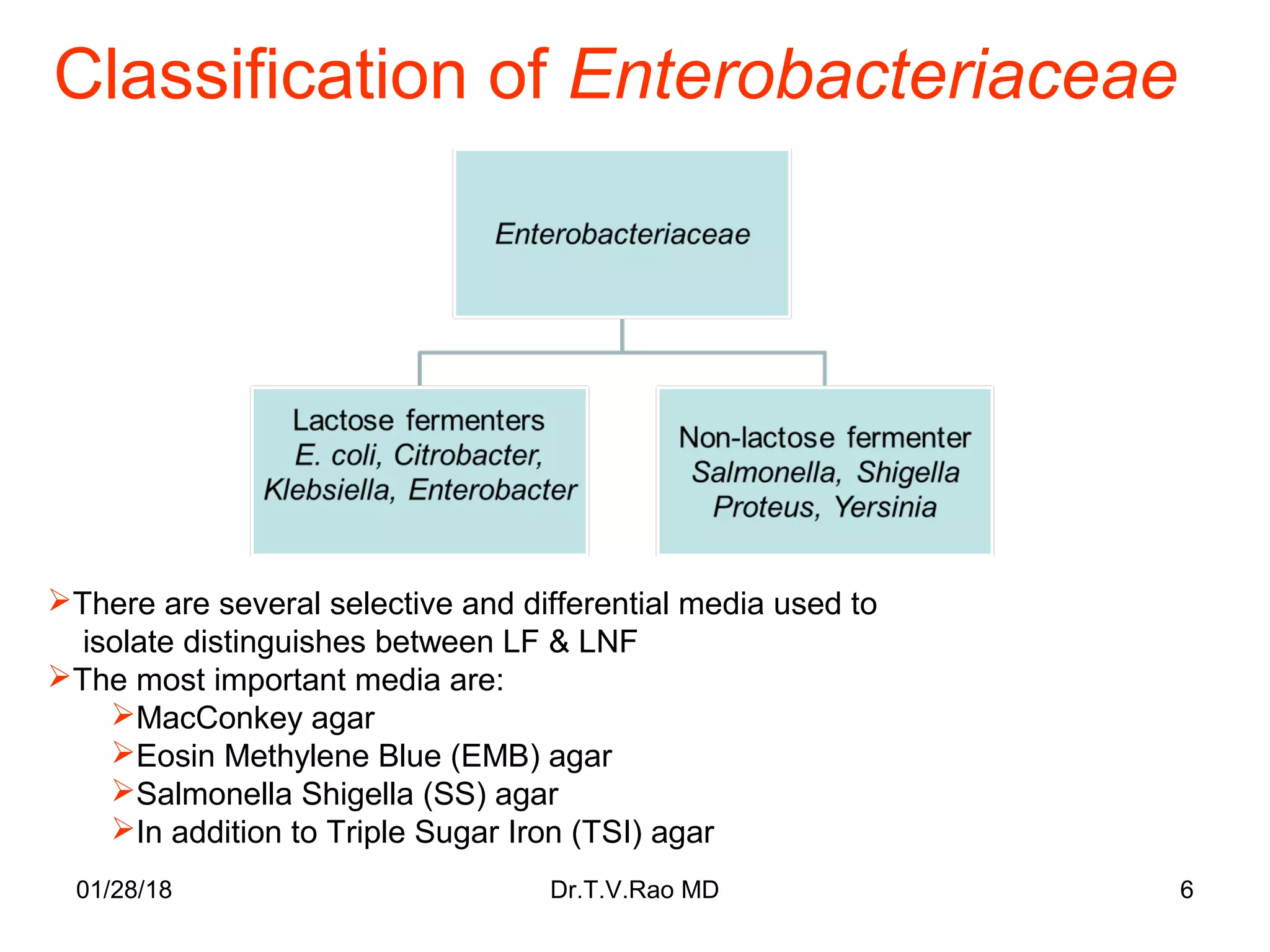 ENTEROBACTERIACEAE for Students in Microbiology by Dr.T.V.Rao MD | PPT