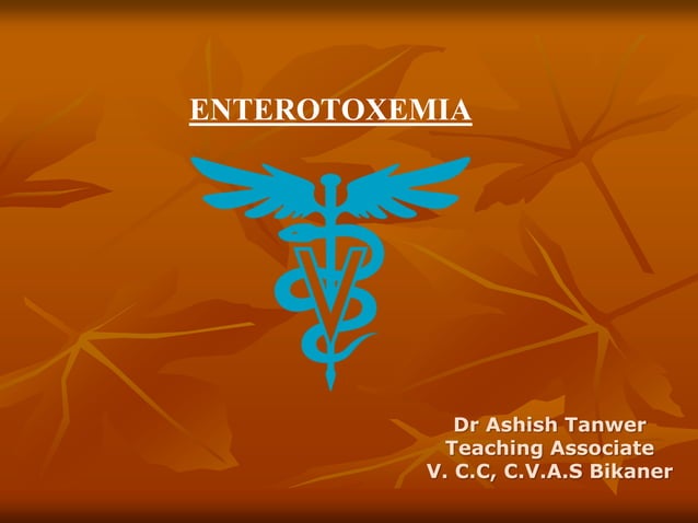 Enterotoxemia ppt | PPT | Digestive Disorders | Diseases and Conditions