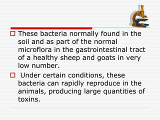 Enterotoxemia ppt | PPT