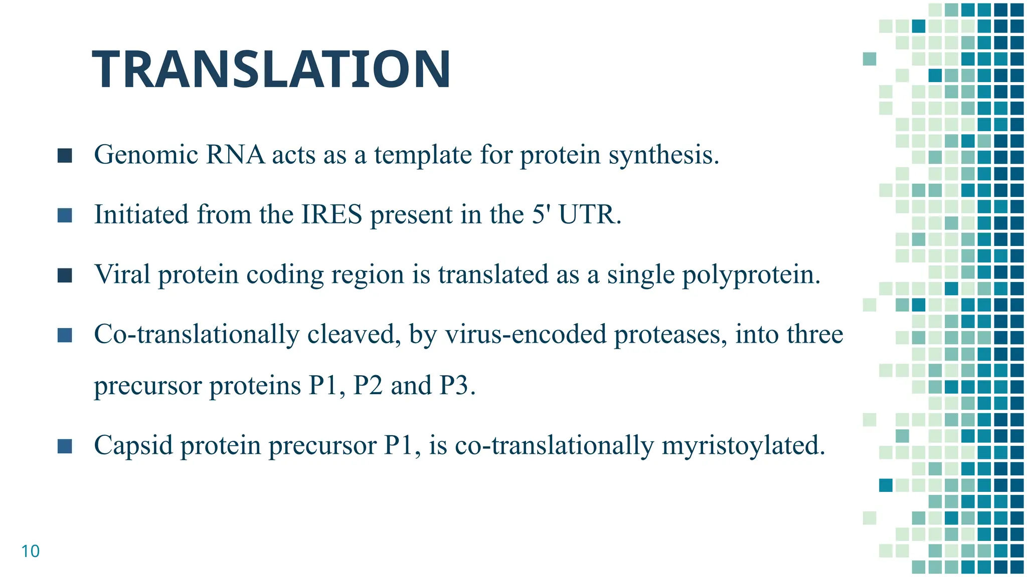 Introduction and Lifecycle of Enterovirus.pptx