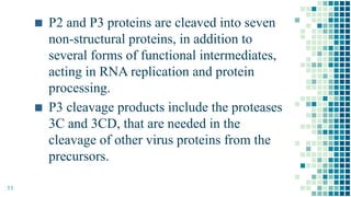 Introduction and Lifecycle of Enterovirus.pptx