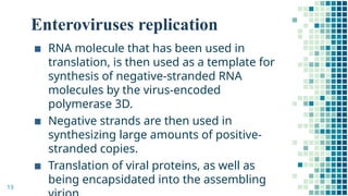 Introduction and Lifecycle of Enterovirus.pptx