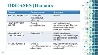Introduction and Lifecycle of Enterovirus.pptx