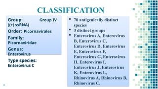 Introduction and Lifecycle of Enterovirus.pptx