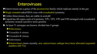 Enteroviruses-1(0).pdf