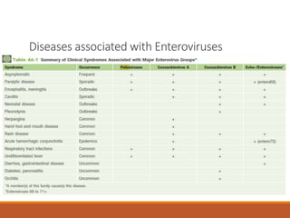 Enteroviruses | PPTX