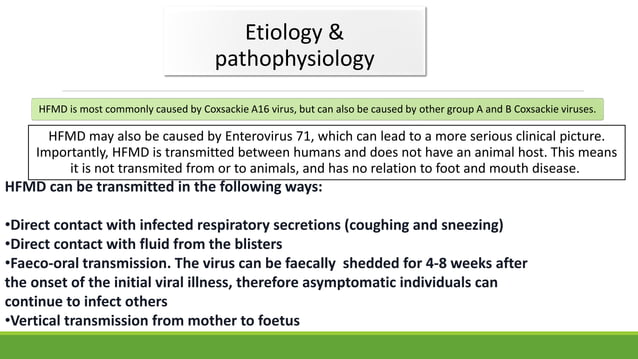 Enteroviruses ( Coxsackie & Echoviruses) | PPT