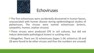 Enteroviruses ( Coxsackie & Echoviruses) | PPT