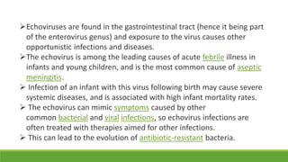 Enteroviruses ( Coxsackie & Echoviruses) | PPT