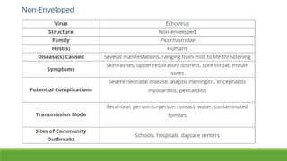 Enteroviruses ( Coxsackie & Echoviruses) | PPTX