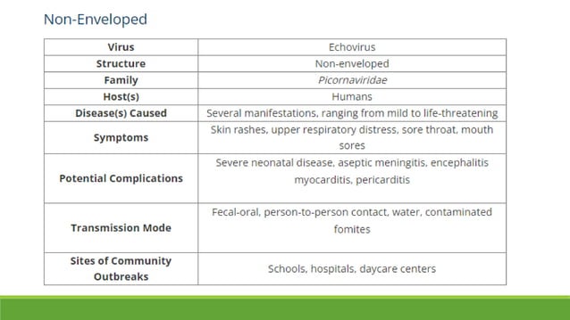 Enteroviruses ( Coxsackie & Echoviruses) | PPT
