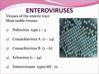 Enteroviruses | PPT