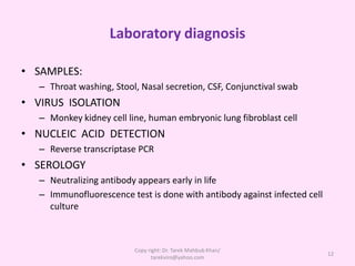 Enteroviruses and polio | PDF