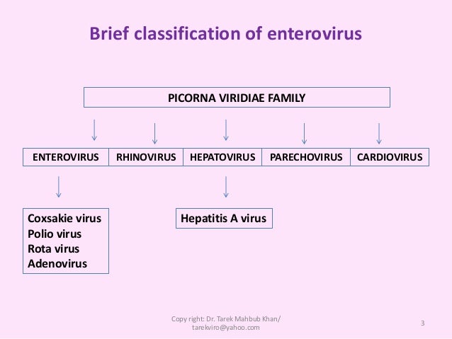 Enteroviruses and polio
