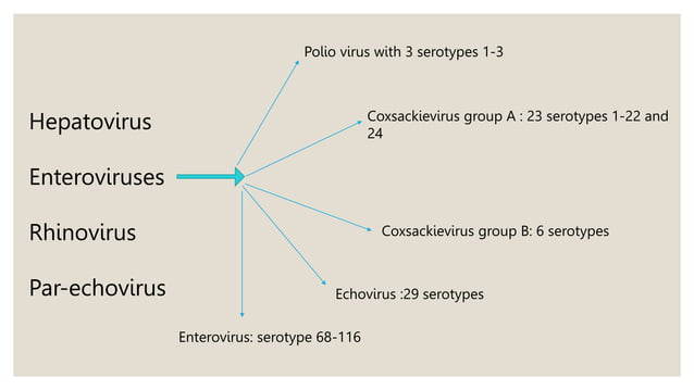 enterovirus meningitis.pptx