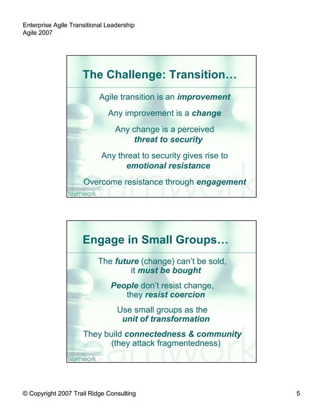 Enterprise Agile Transitional Leadership | PDF