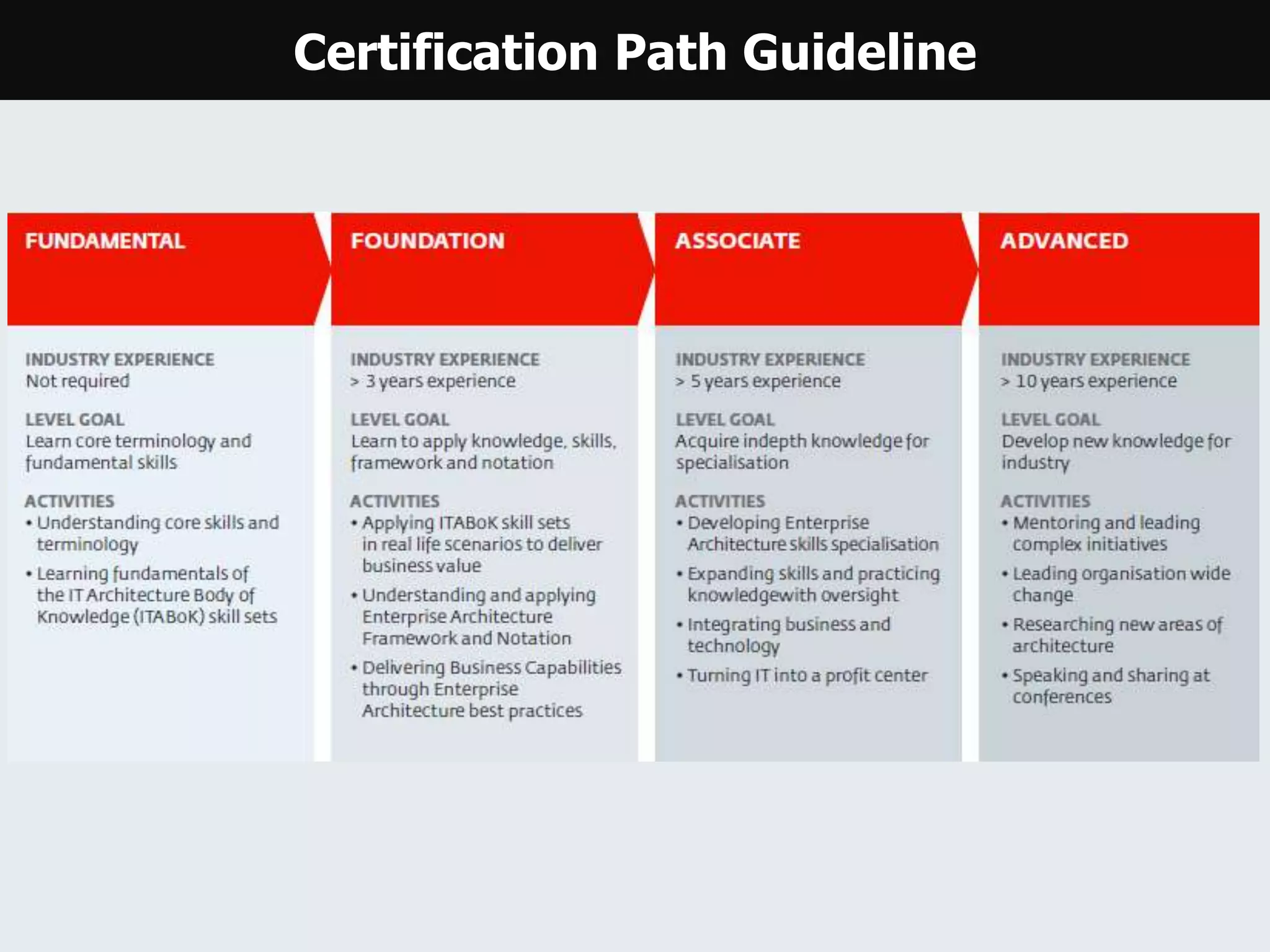 Enterprise architecture-career-path | PPTX | Programming Languages | Computing