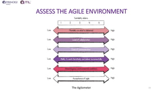 (ONLINE) ITIL Indonesia Community - Enterprise Agile Implementation ...