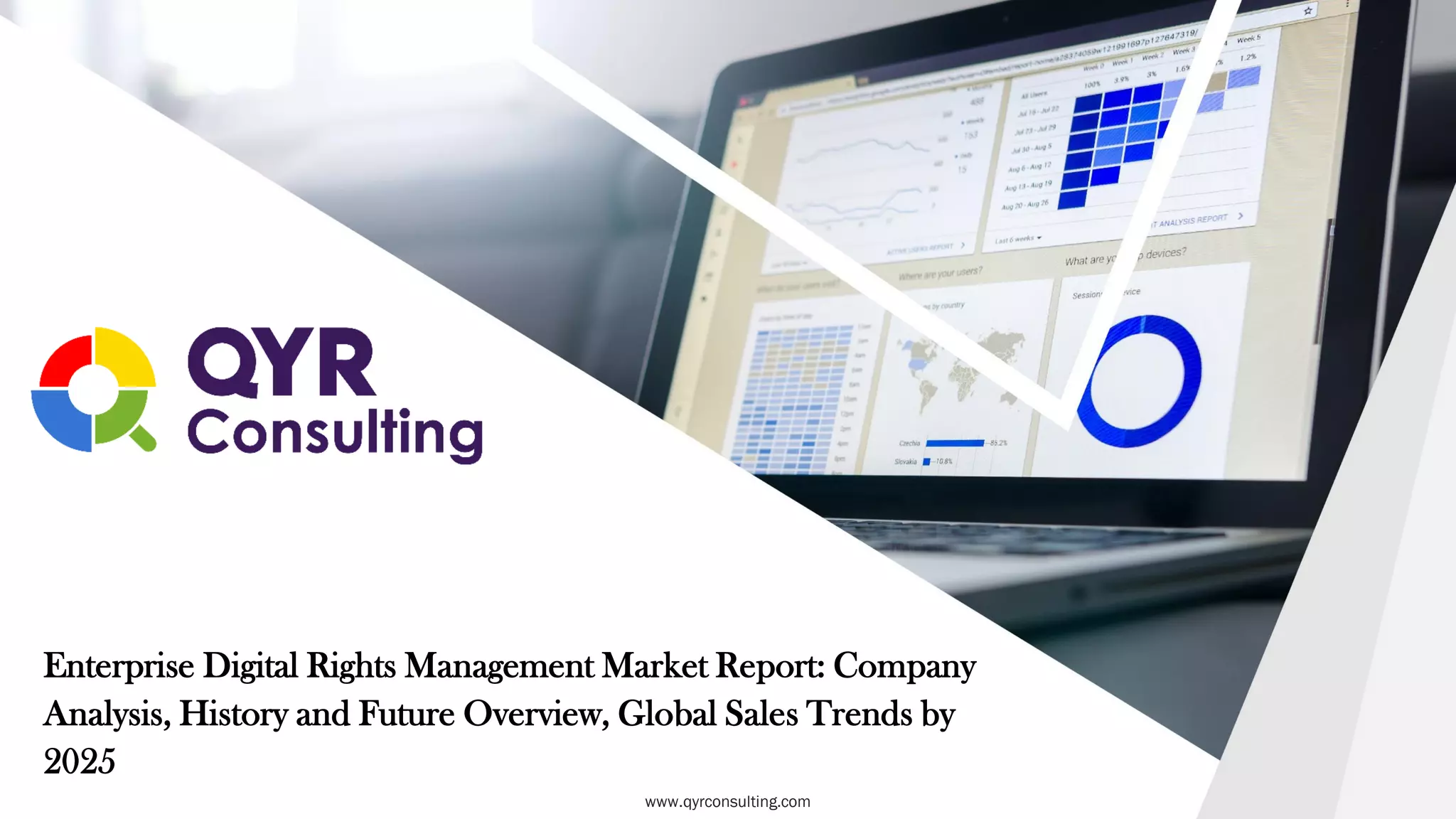 Enterprise digital rights management market | PDF