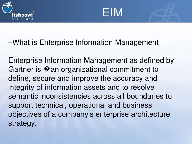 Enterprise Information Management