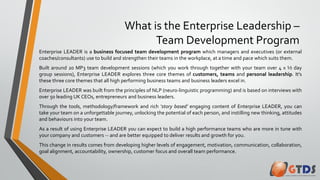 Enterprise Leader Team Development Program | PDF