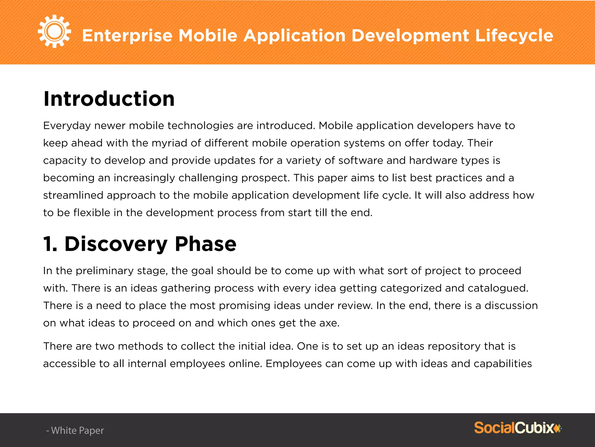 Enterprise Mobile Application Development Lifecycle White Paper By