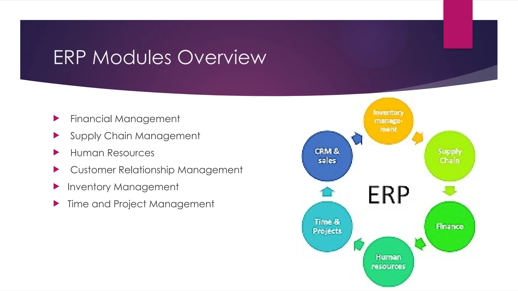 Enterprise Resource Planning (ERP) Systems.pptx