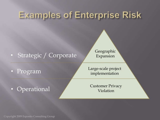 Enterprise Risk Management | PPTX