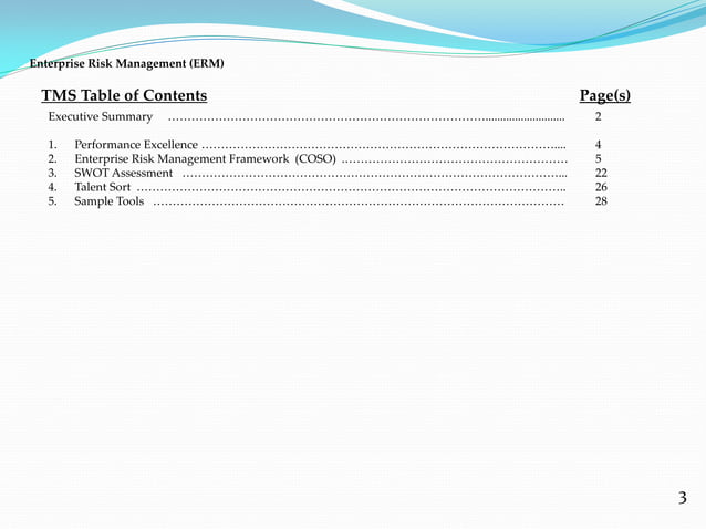 Enterprise Risk Management (ERM) Framework 2020 | PDF