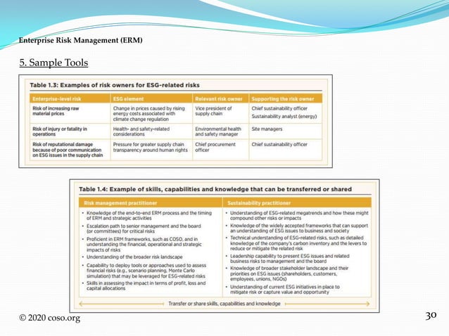 Enterprise Risk Management (ERM) Framework 2020 | PDF
