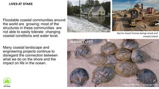 Coastal Landscapes and How they Must Adapt to Climate Change | PDF