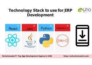 Enterprise Software DEvelopment | PPT