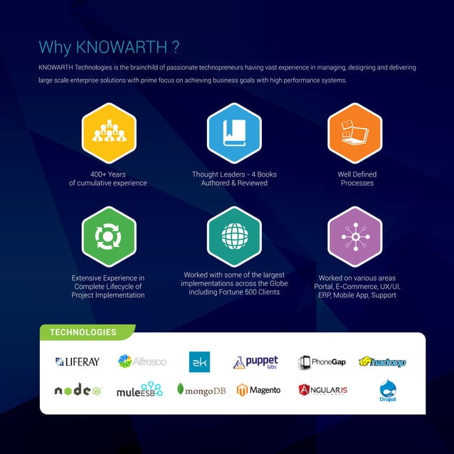 Enterprise Software Solution Provider | PDF