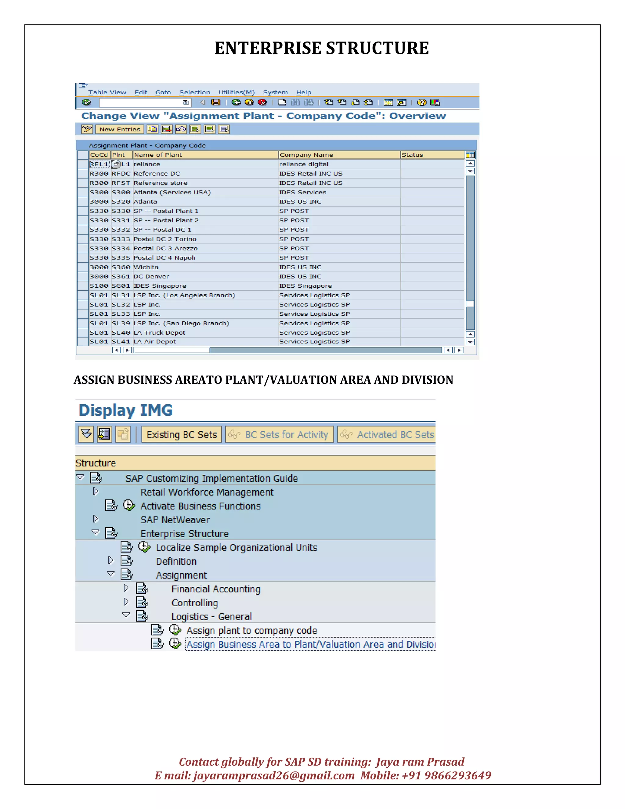 enterprise structure (2).pdf