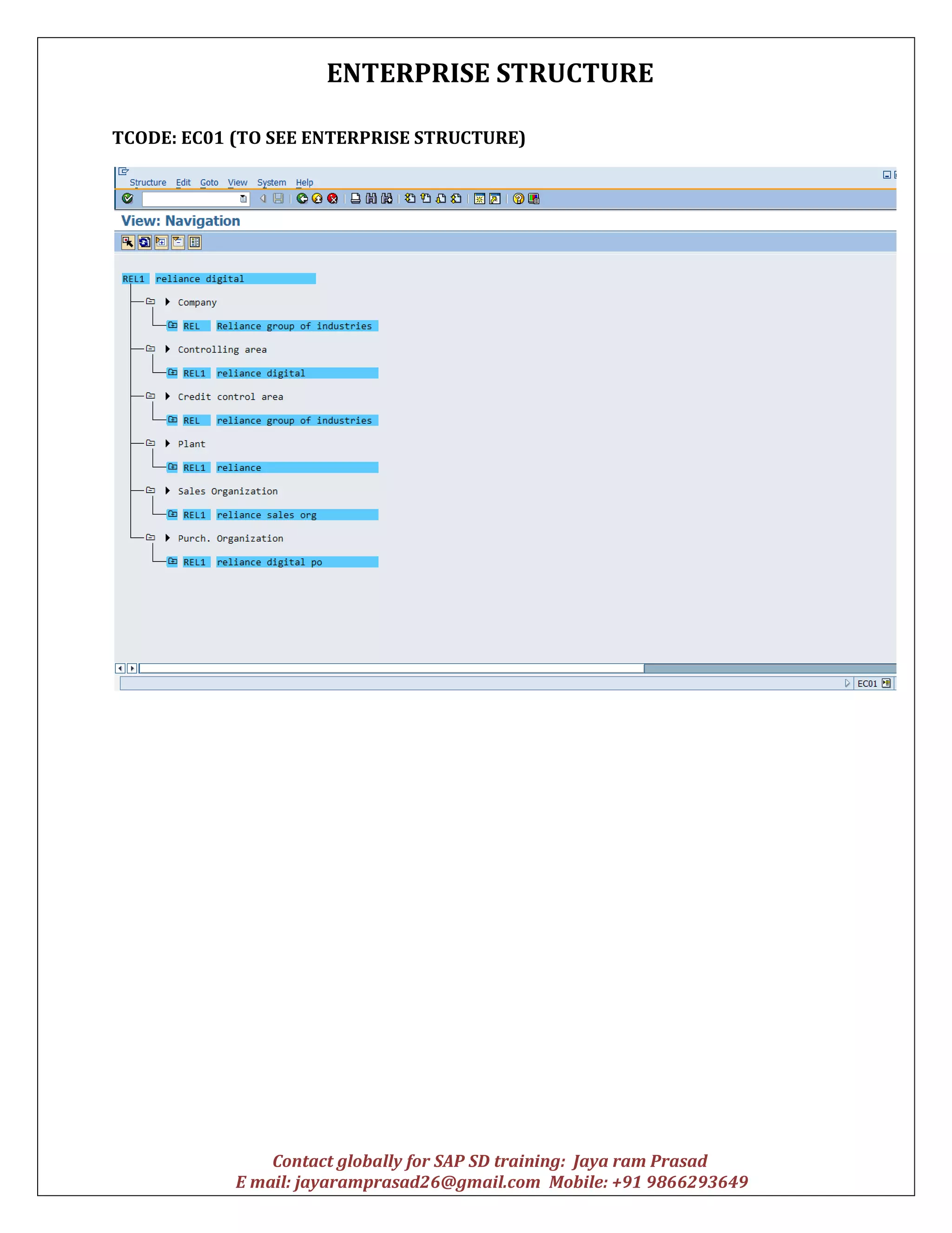 enterprise structure (2).pdf