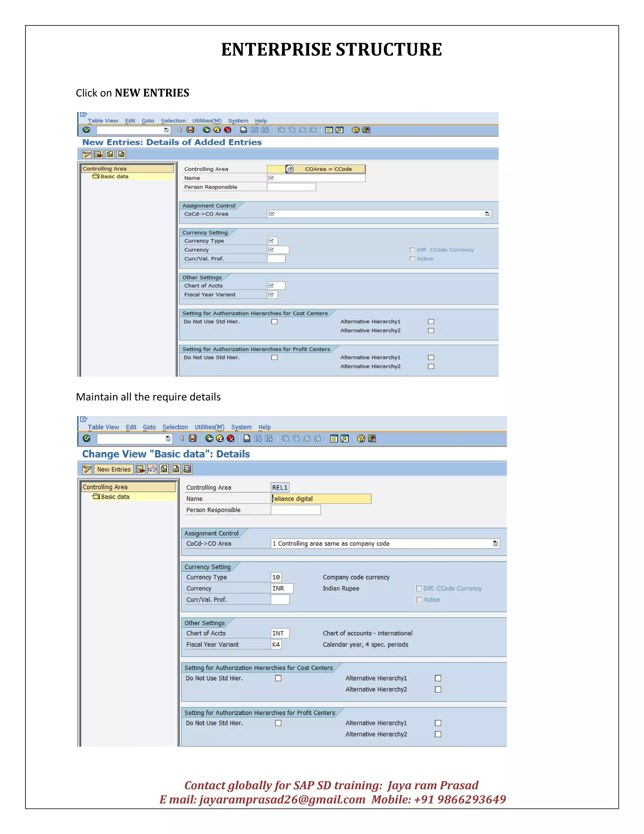 enterprise structure (2).pdf