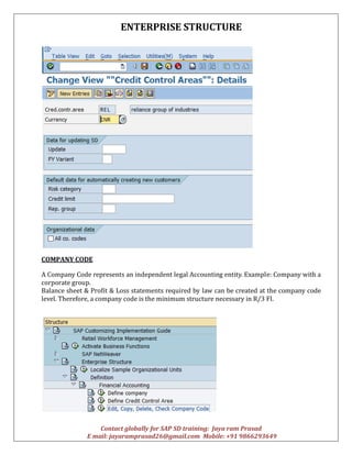 enterprise structure (2).pdf