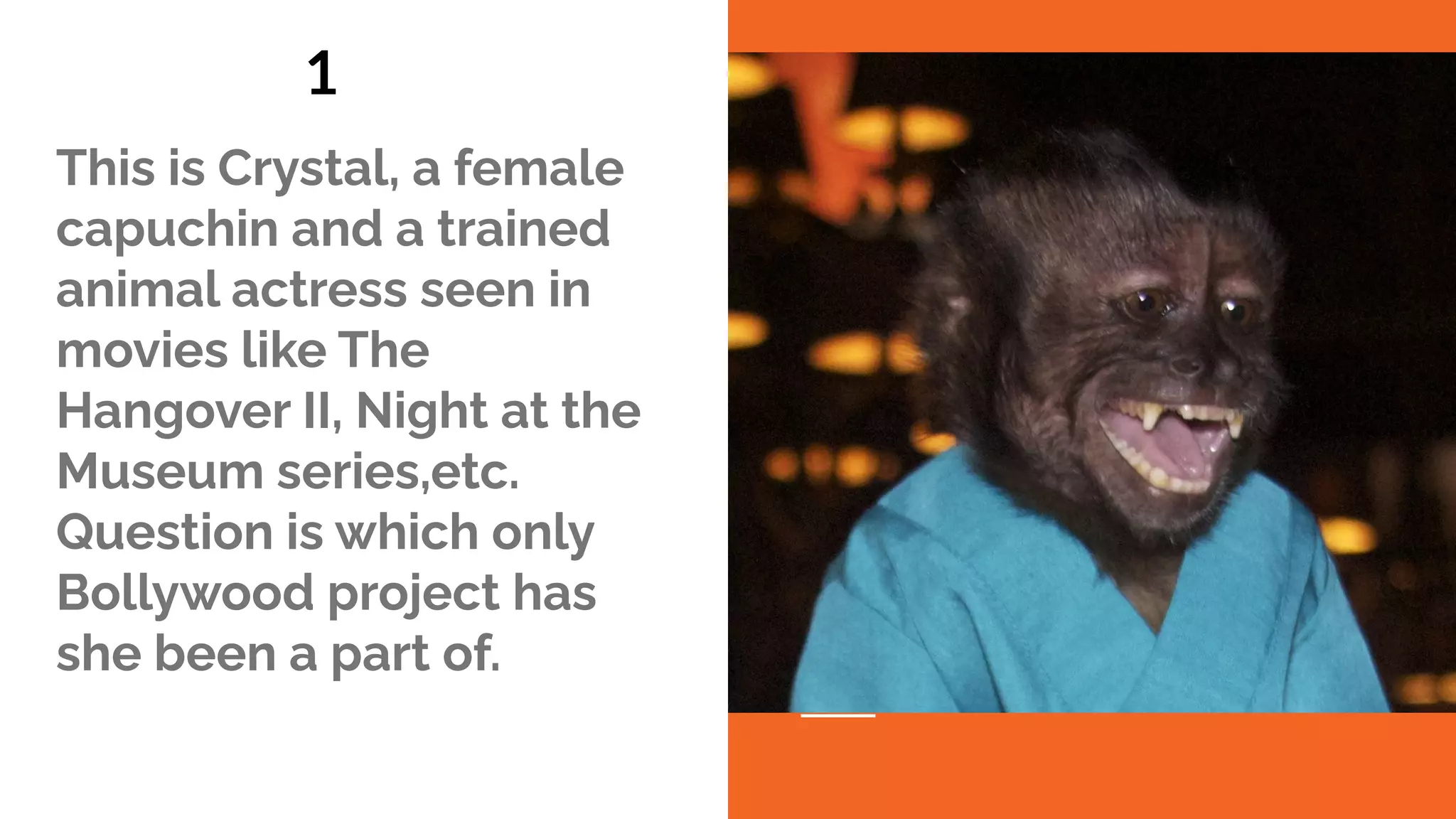 Entertainment Entertainment Entertainment Quiz | PDF | Movies ...