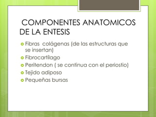 Entesitis | PPTX