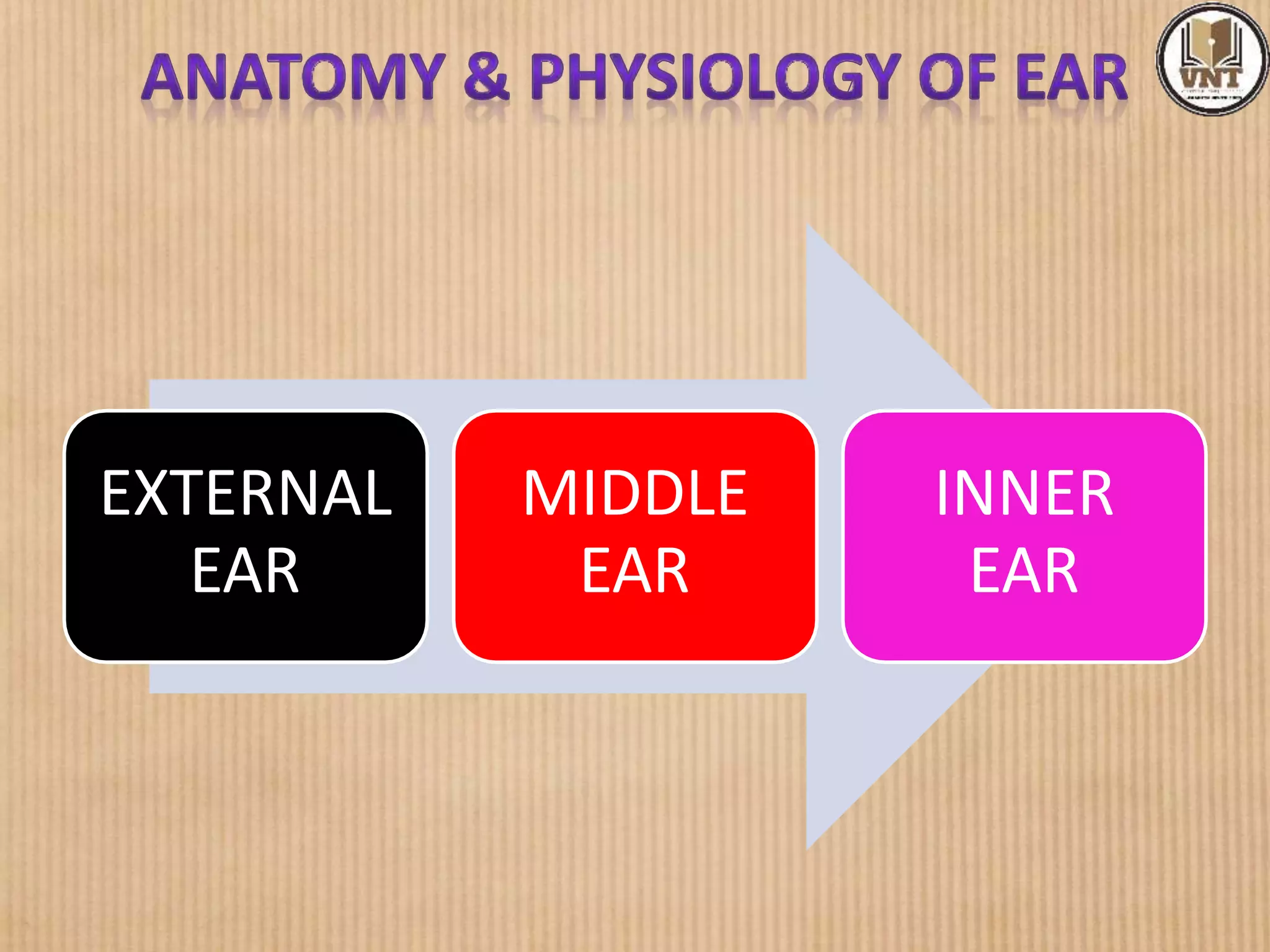 ENT Examination | PPTX