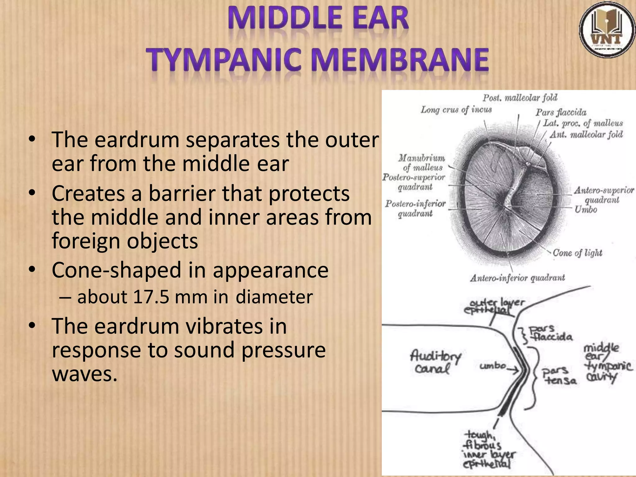 ENT Examination | PPTX
