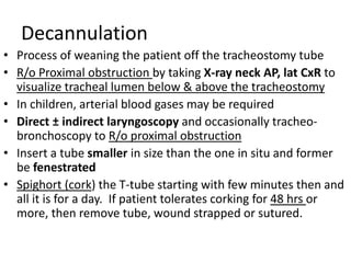 nose and ear pathophysiology,biochemistry,immunology | PPT
