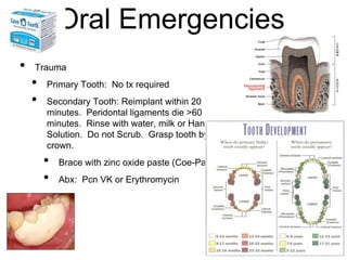 ENT Board Review 2013 Gabriella Minera | PPT