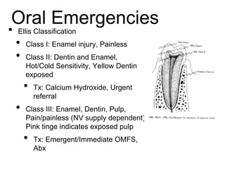 ENT Board Review 2013 Gabriella Minera | PPT