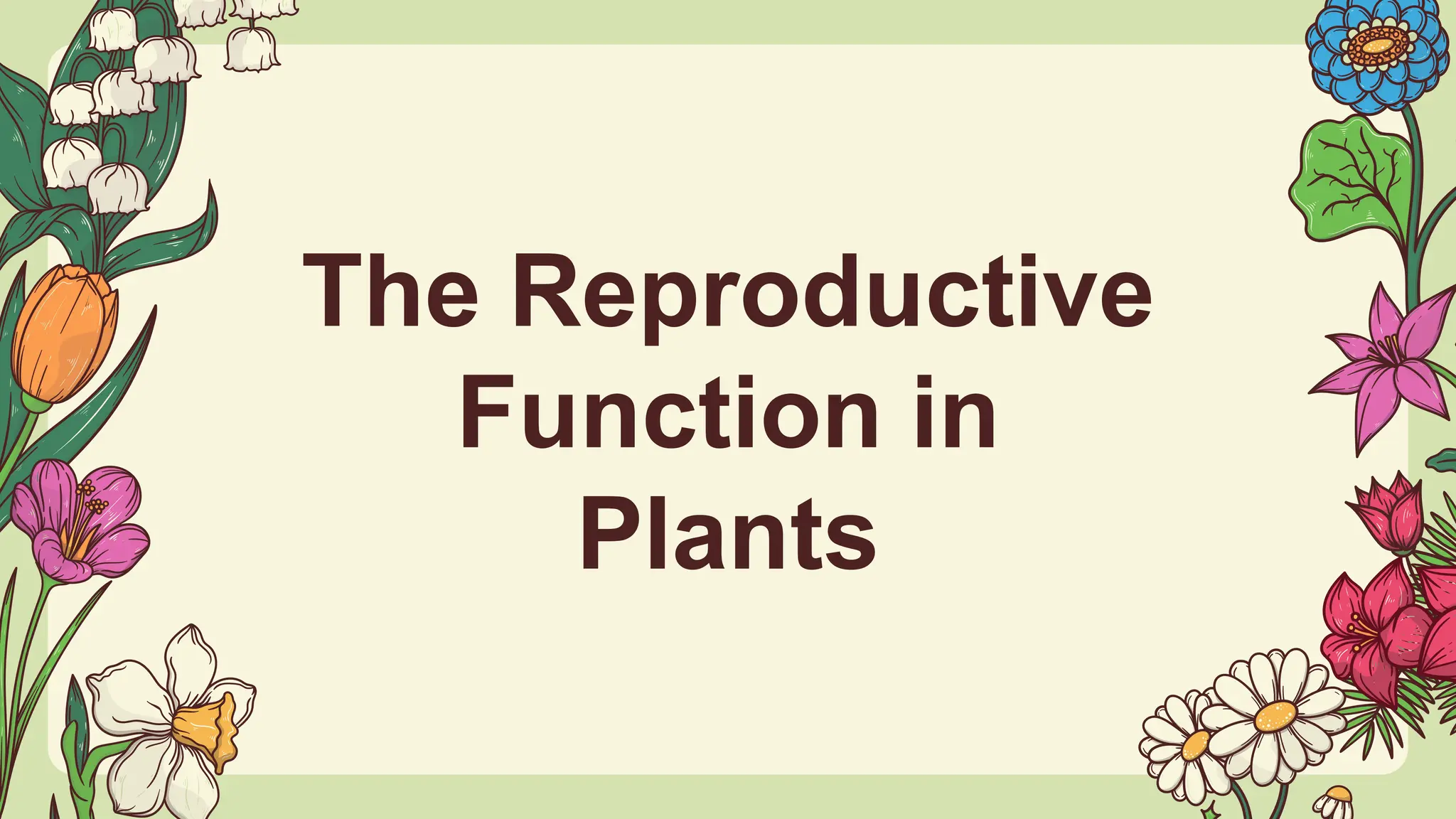 EN The Reproductive Function in Plants by Slidesgo.pptx