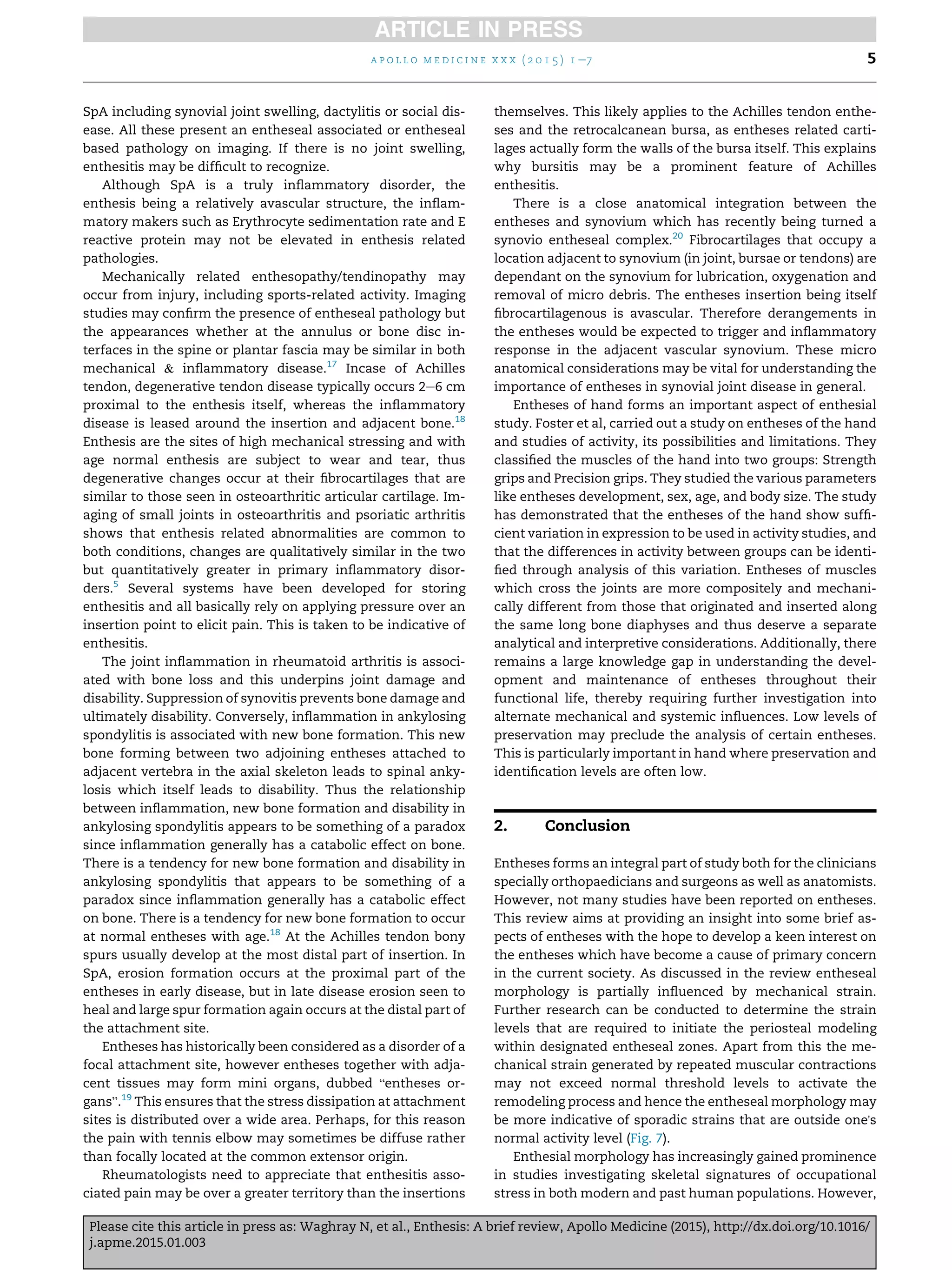 Enthesis: A brief review | PDF