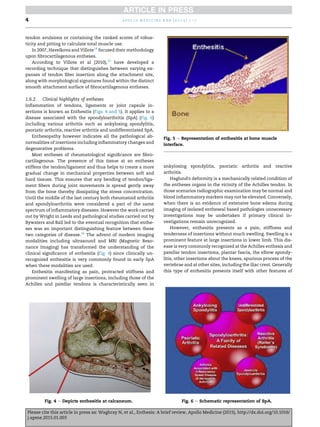 Enthesis: A brief review | PDF